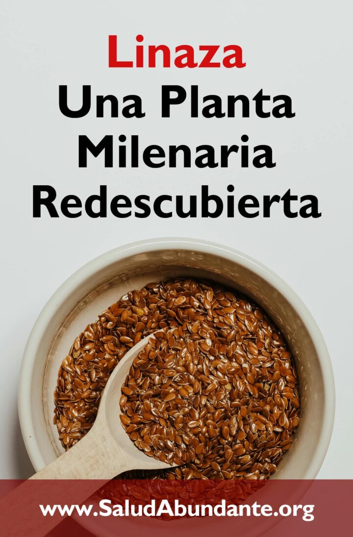 Linaza – Una Planta Milenaria Redescubierta – Salud Abundante